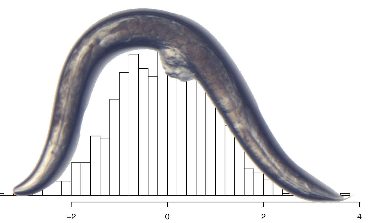 Links [rockmanlab.bio.nyu.edu]